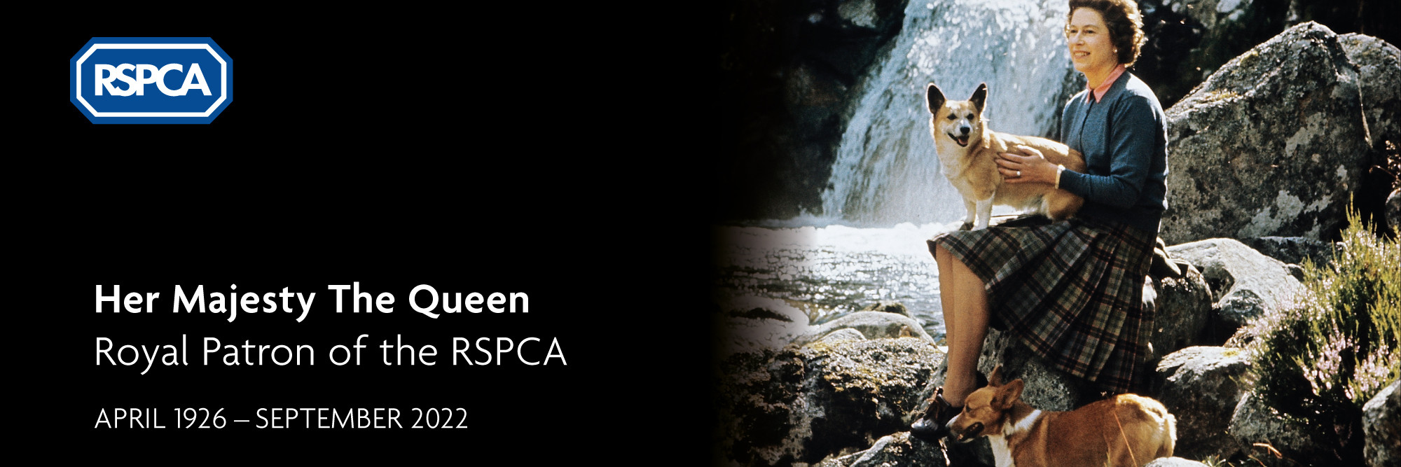 RSPCA York, Harrogate & District Branch - Home