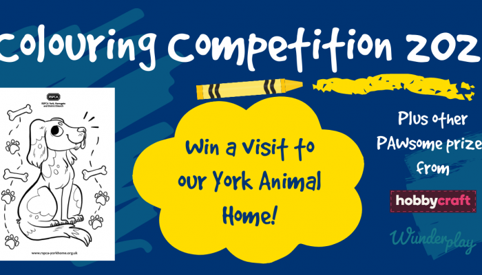 RSPCA York, Harrogate & District Branch - Home