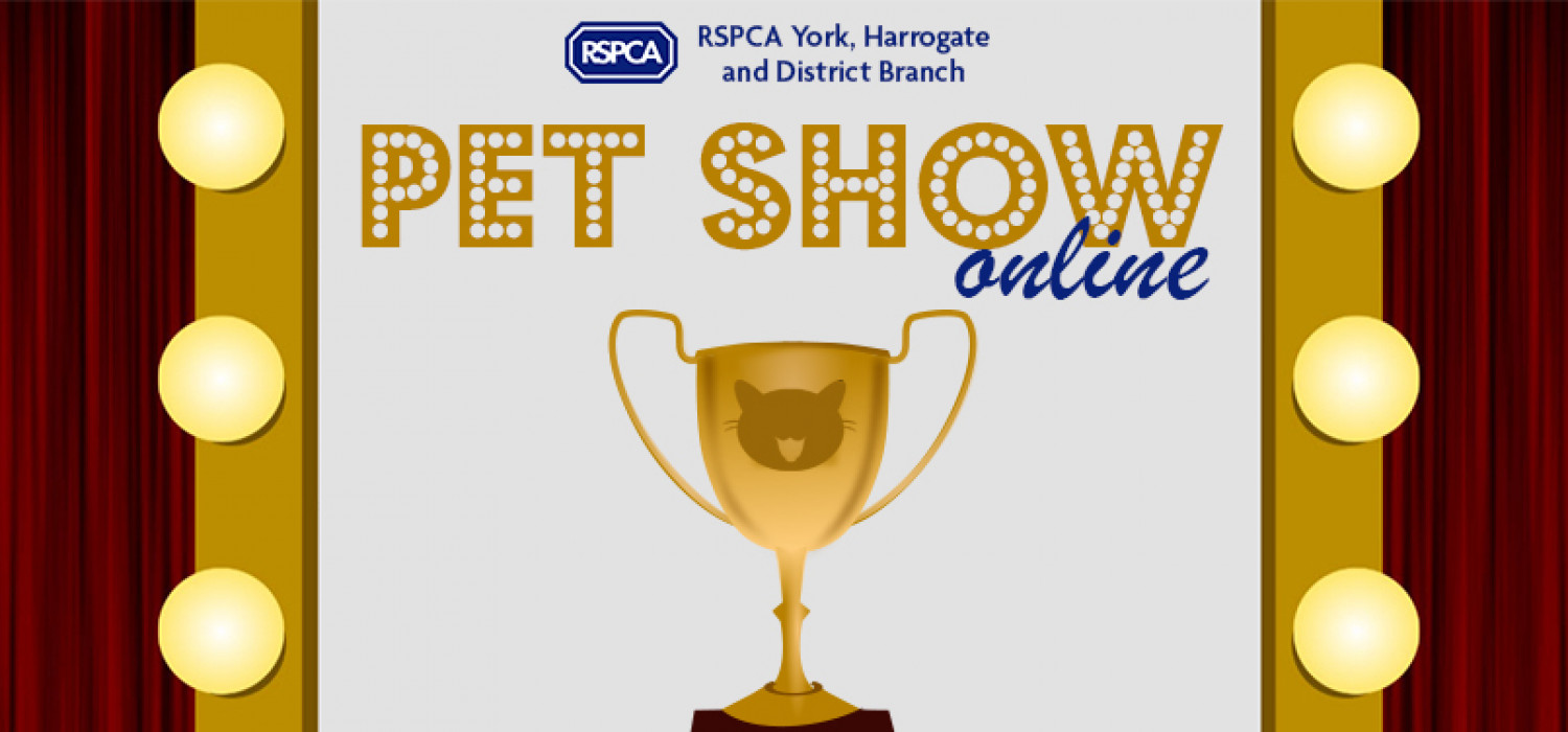 RSPCA York, Harrogate & District Branch - Home